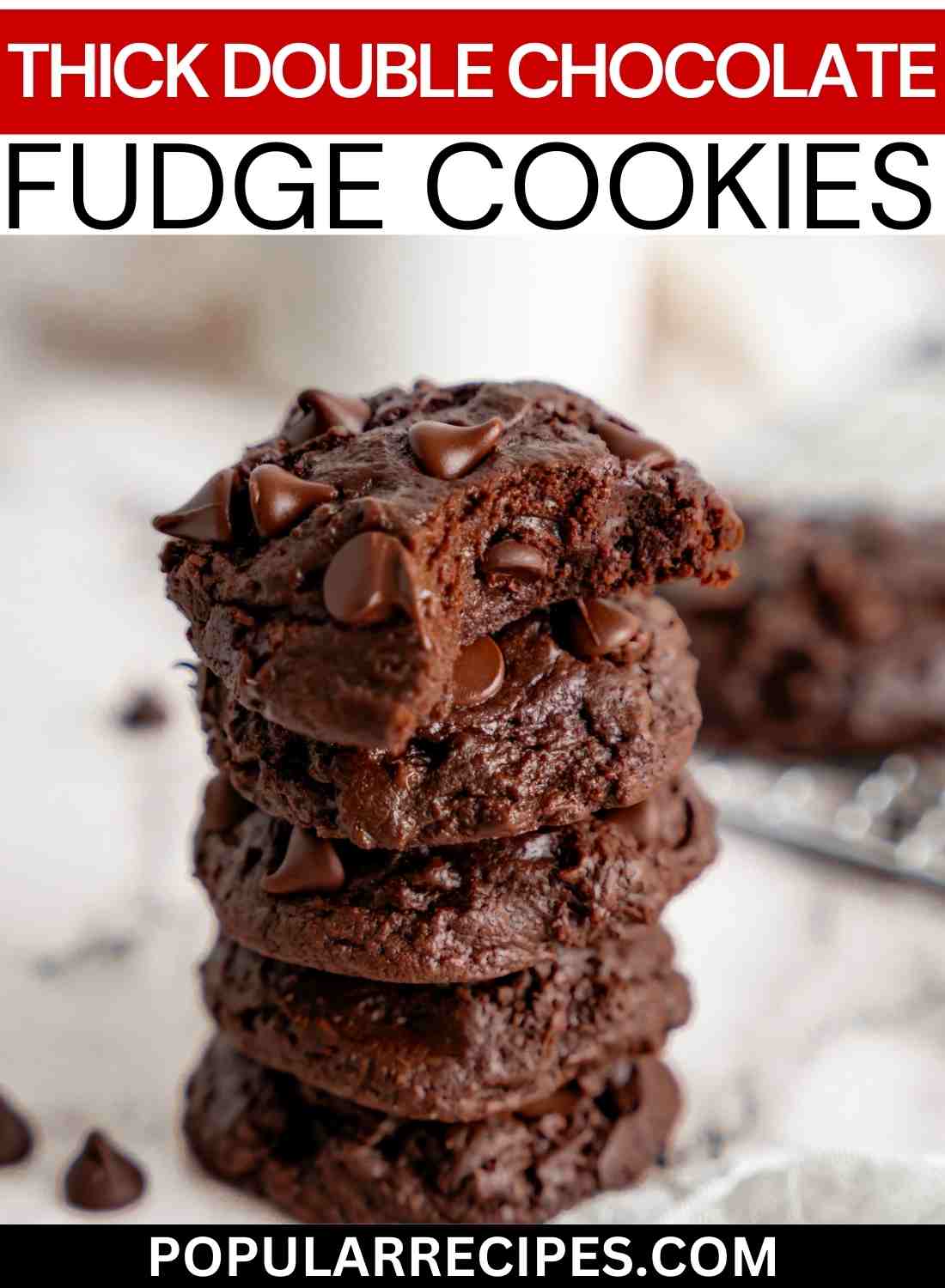 Chewy Double Chocolate Fudge Cookies - Popular Recipes