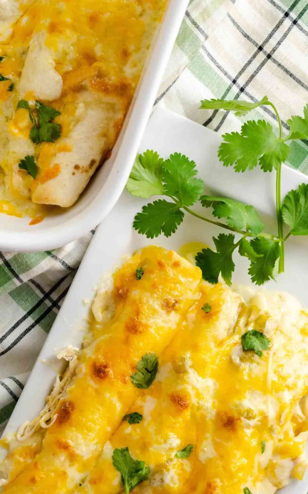 White Chicken Enchiladas - Popular Recipes