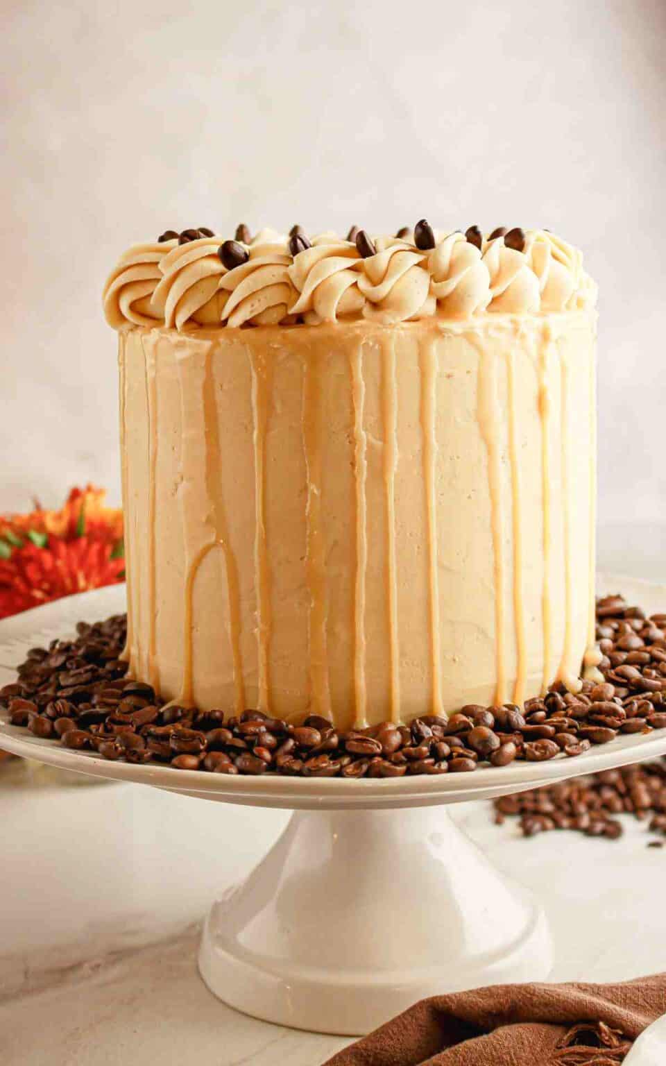 Cappuccino Cake - Popular Recipes