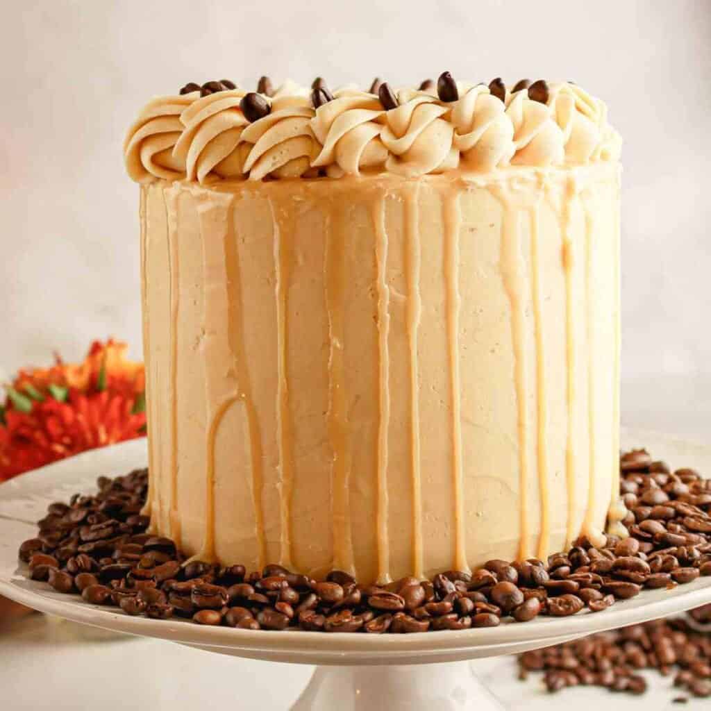 Cappuccino Cake - Popular Recipes