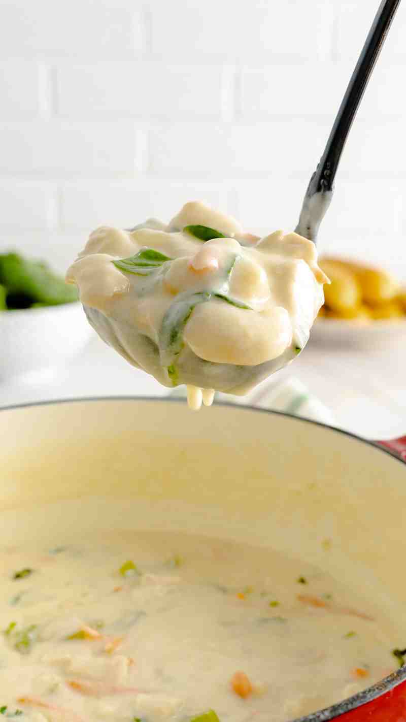 Chicken and Gnocchi Soup - Popular Recipes